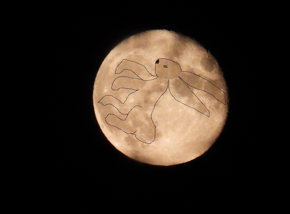 The Man in the Moon | wordsfromanneli